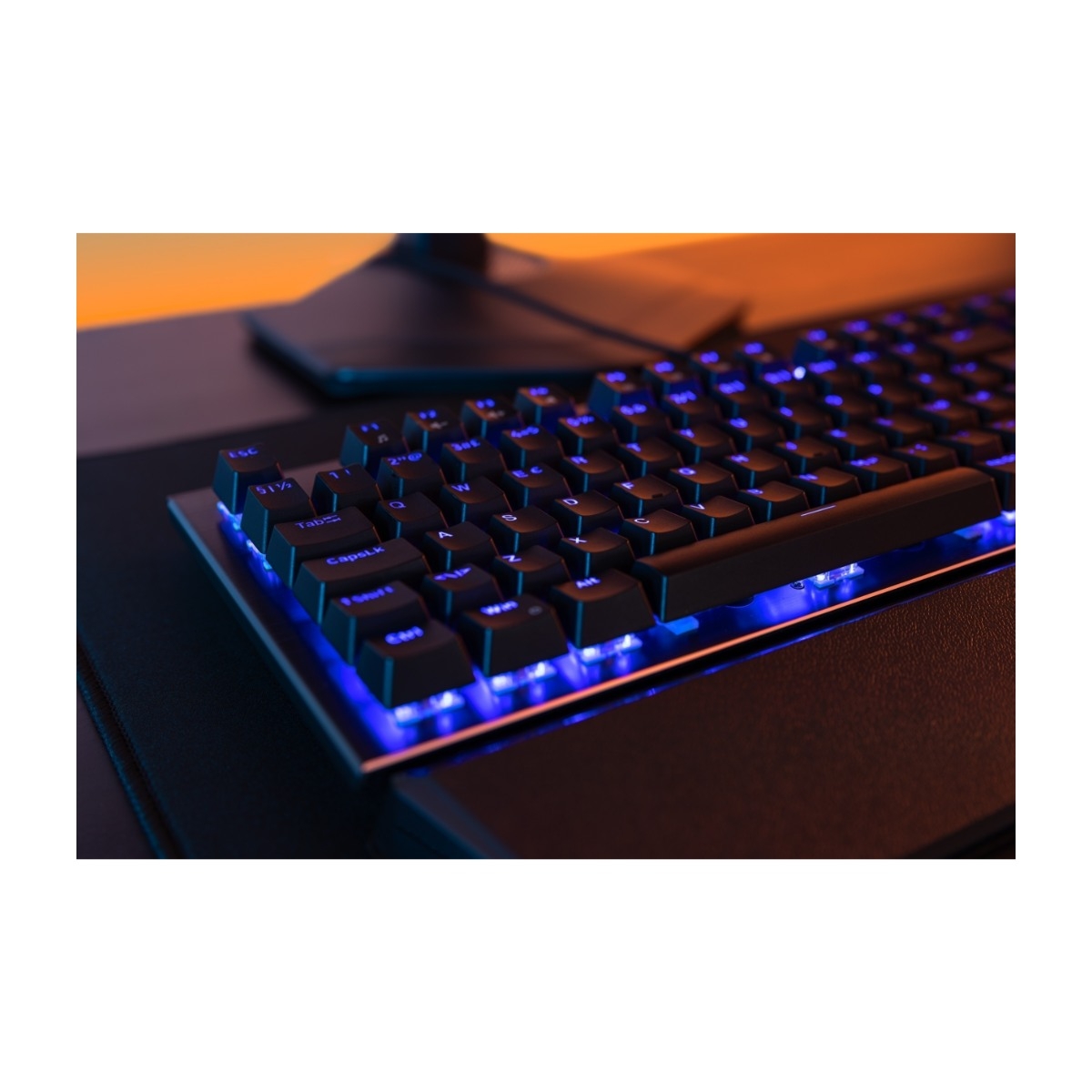 Cepter CyberX Pro gaming keyboard - CEPTER
