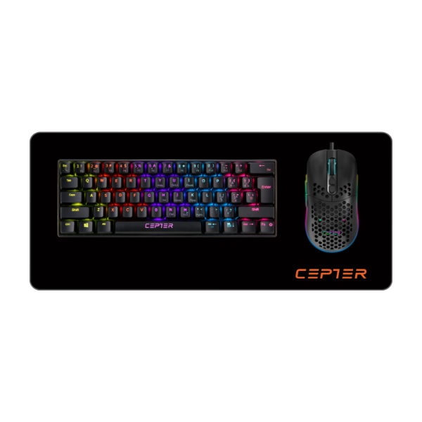 Gaming - CEPTER