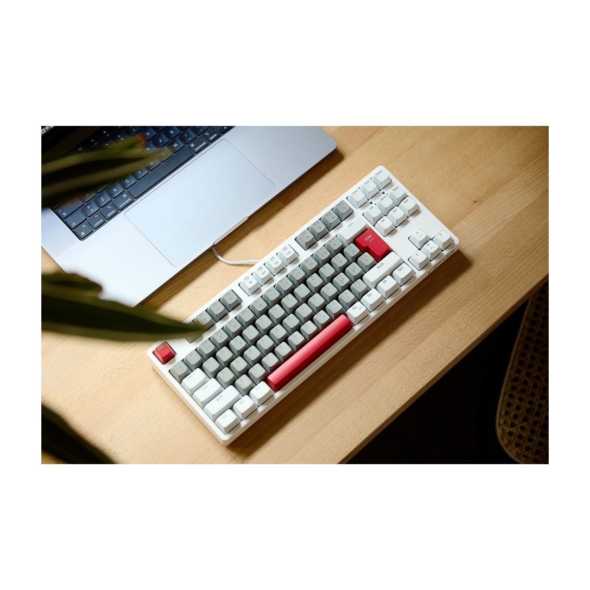 Cepter Cosmo gaming keyboard - CEPTER