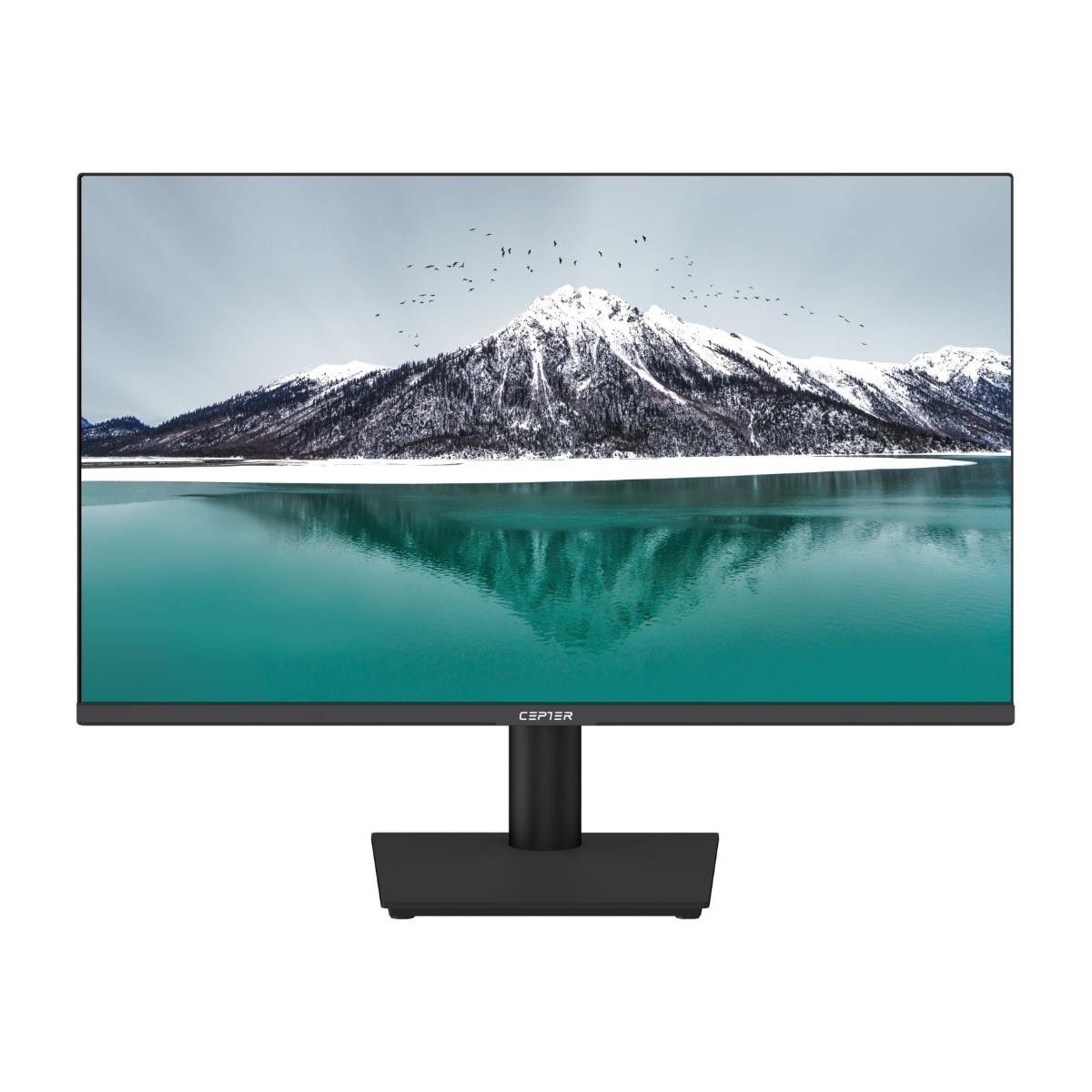 Gaming Monitors - CEPTER