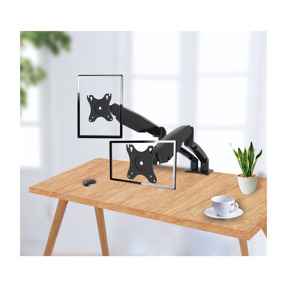 Cepter monitor Mount gas 2 - CEPTER