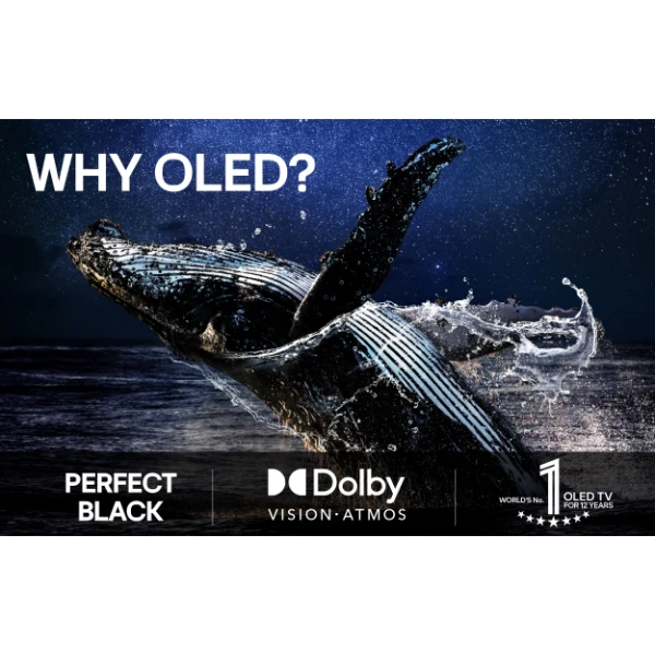 LG 65" OLED evo C5 4K TV 2025 OLED65C54LA - POWER.dk